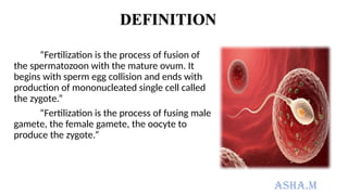Fertilization and fetal development ppt | PPTX