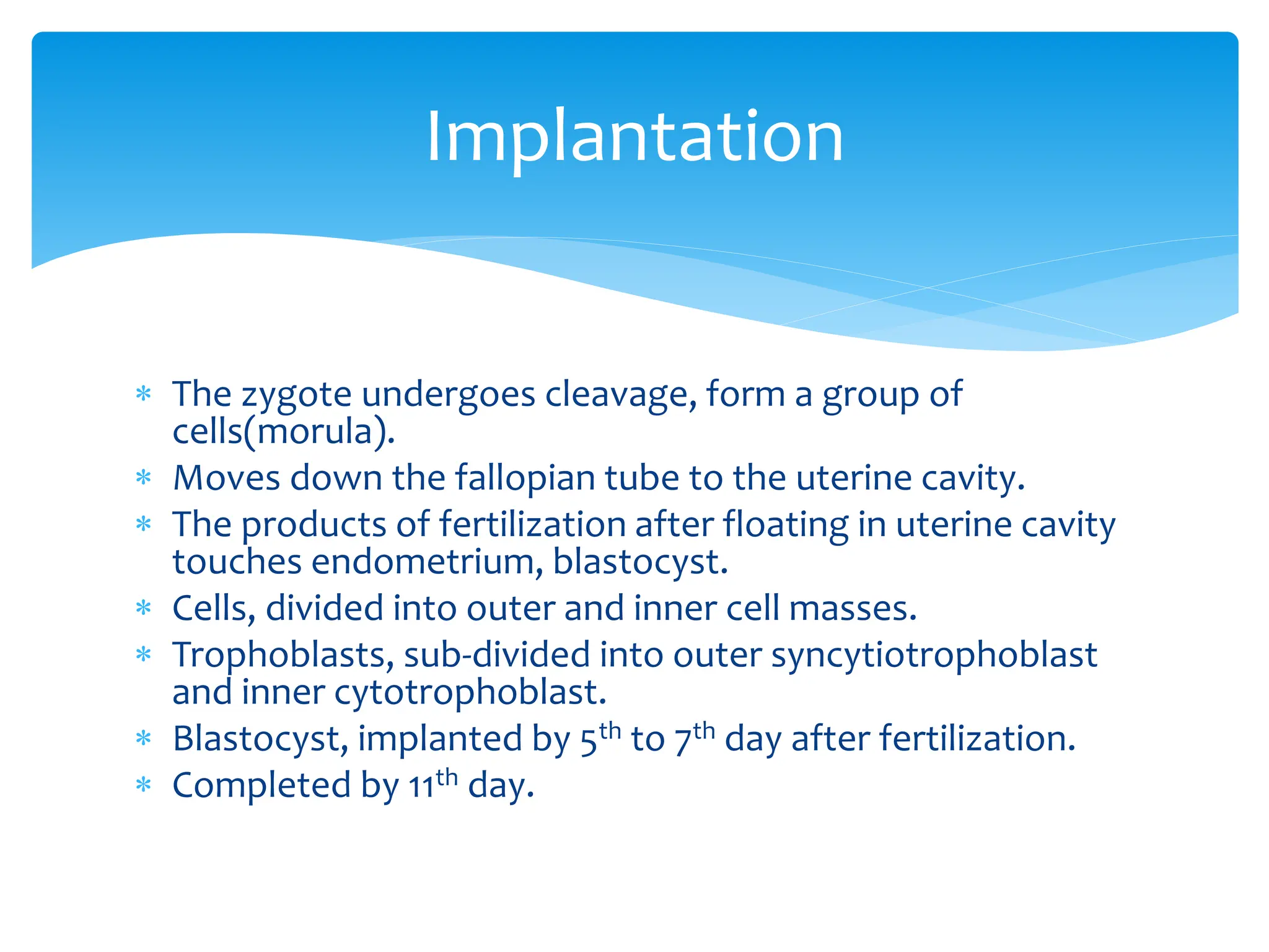 FERTILIZATION AND IMPLANTATION physiology | PDF