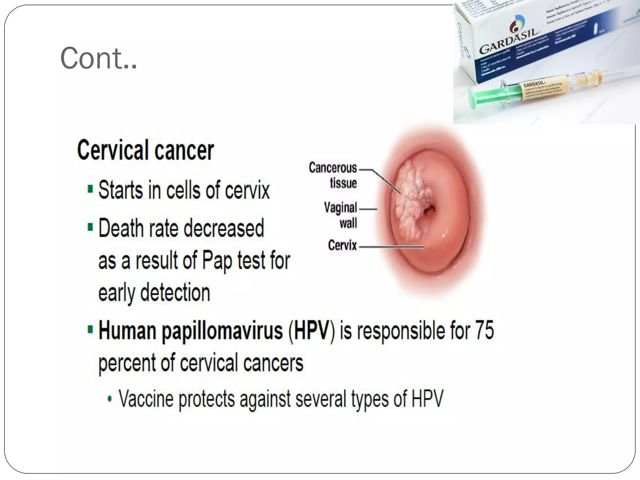 Fertilization And Implantation Converted Pdf