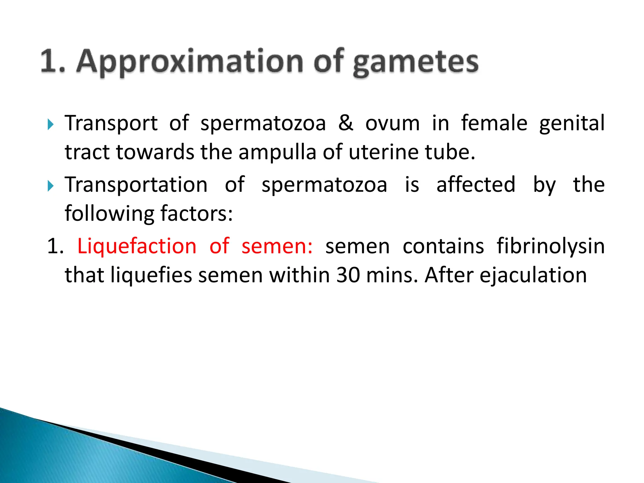 embryology : fertilization and cleavage. | PPTX