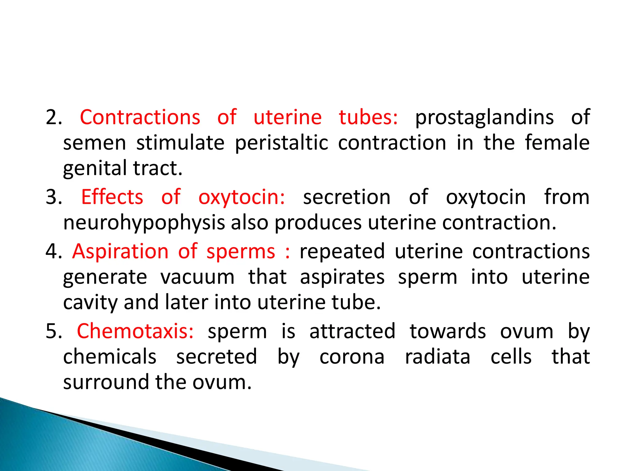 embryology : fertilization and cleavage. | PPTX