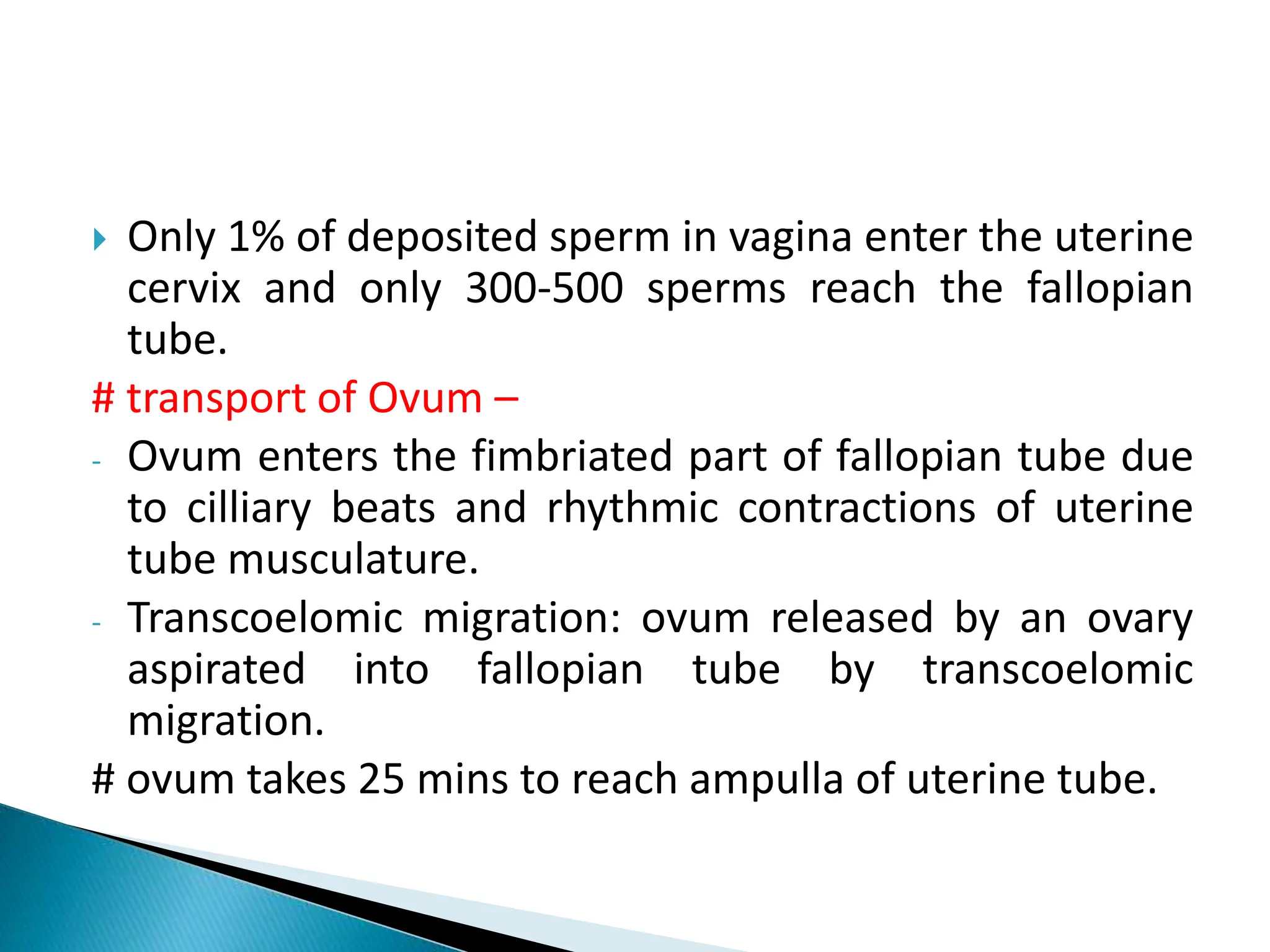 embryology : fertilization and cleavage. | PPTX