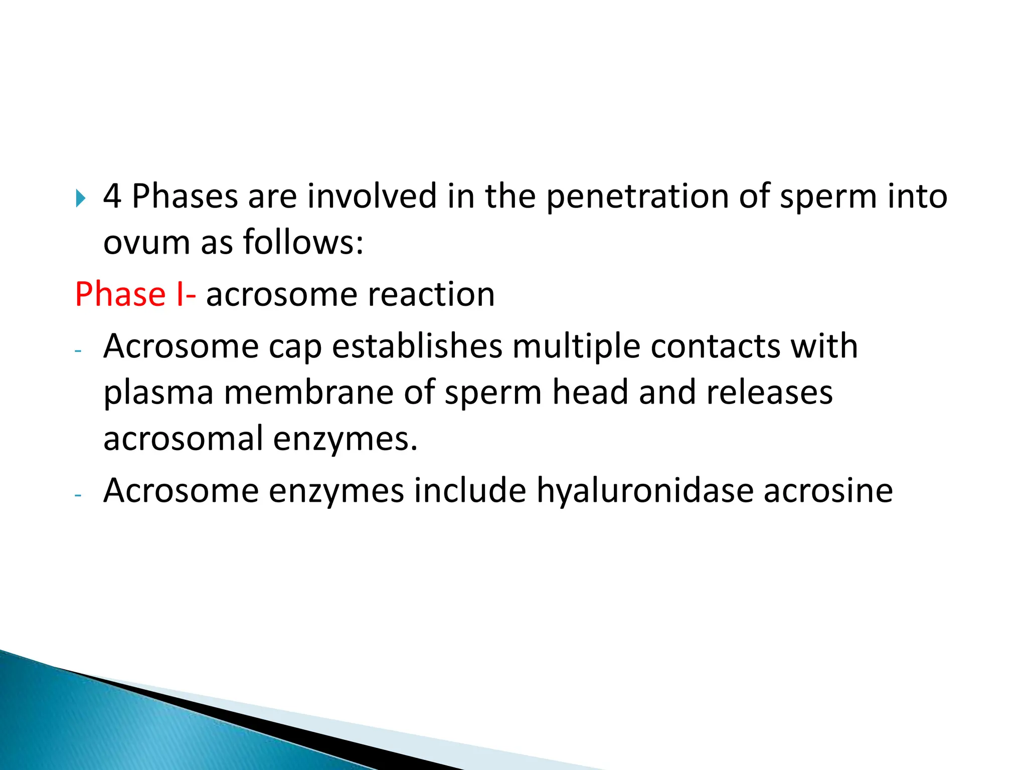 embryology : fertilization and cleavage. | PPTX