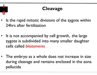 FERTILIZATION, CLEAVAGE N BLASTOCYST FORMATION.pdf