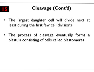 FERTILIZATION, CLEAVAGE N BLASTOCYST FORMATION.pdf