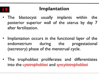 FERTILIZATION, CLEAVAGE N BLASTOCYST FORMATION.pdf