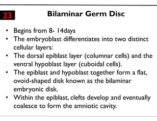 FERTILIZATION, CLEAVAGE N BLASTOCYST FORMATION.pdf