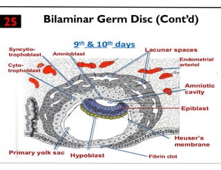 FERTILIZATION, CLEAVAGE N BLASTOCYST FORMATION.pdf