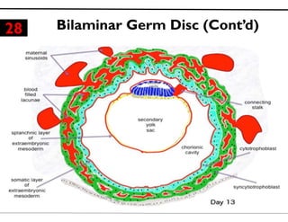 FERTILIZATION, CLEAVAGE N BLASTOCYST FORMATION.pdf