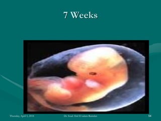 Fertilization conception fetal development | PDF