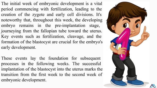 fertilization & early early development.pptx