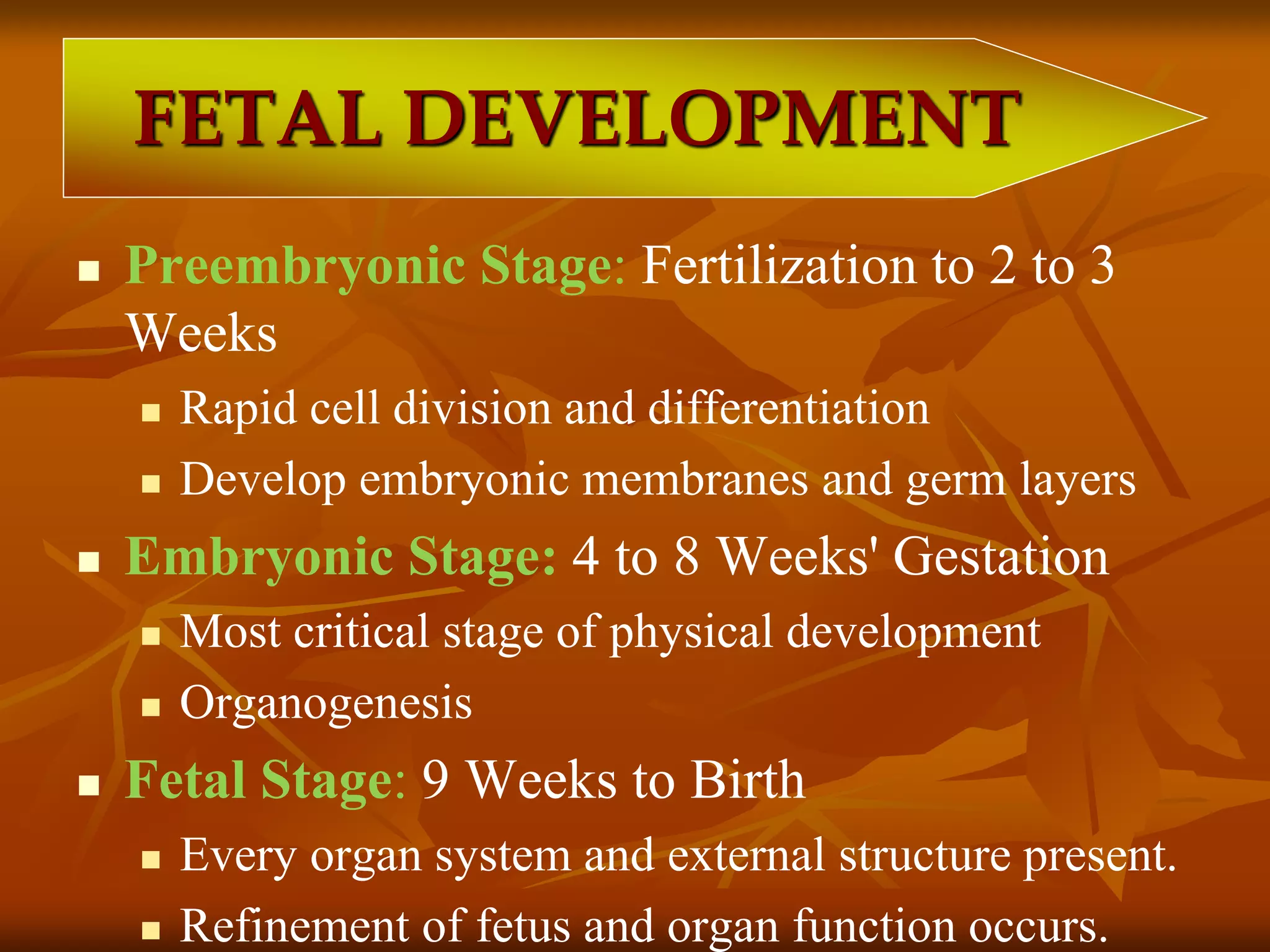 Fertilization & Fetal Development.pdf