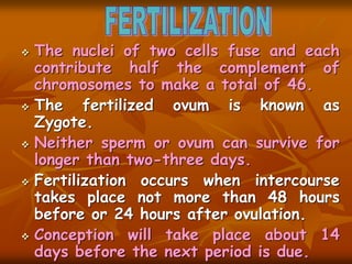 Fertilization & Fetal Development.pdf