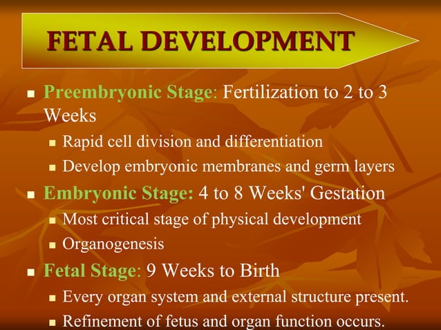 Fertilization & Fetal Development.pdf