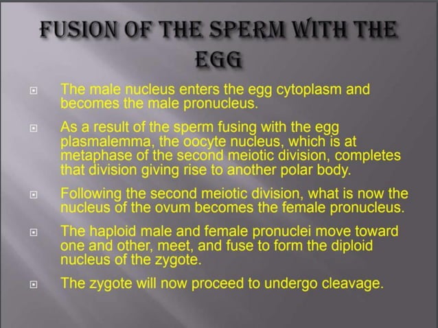 Fertilization & Fetal Development.pdf