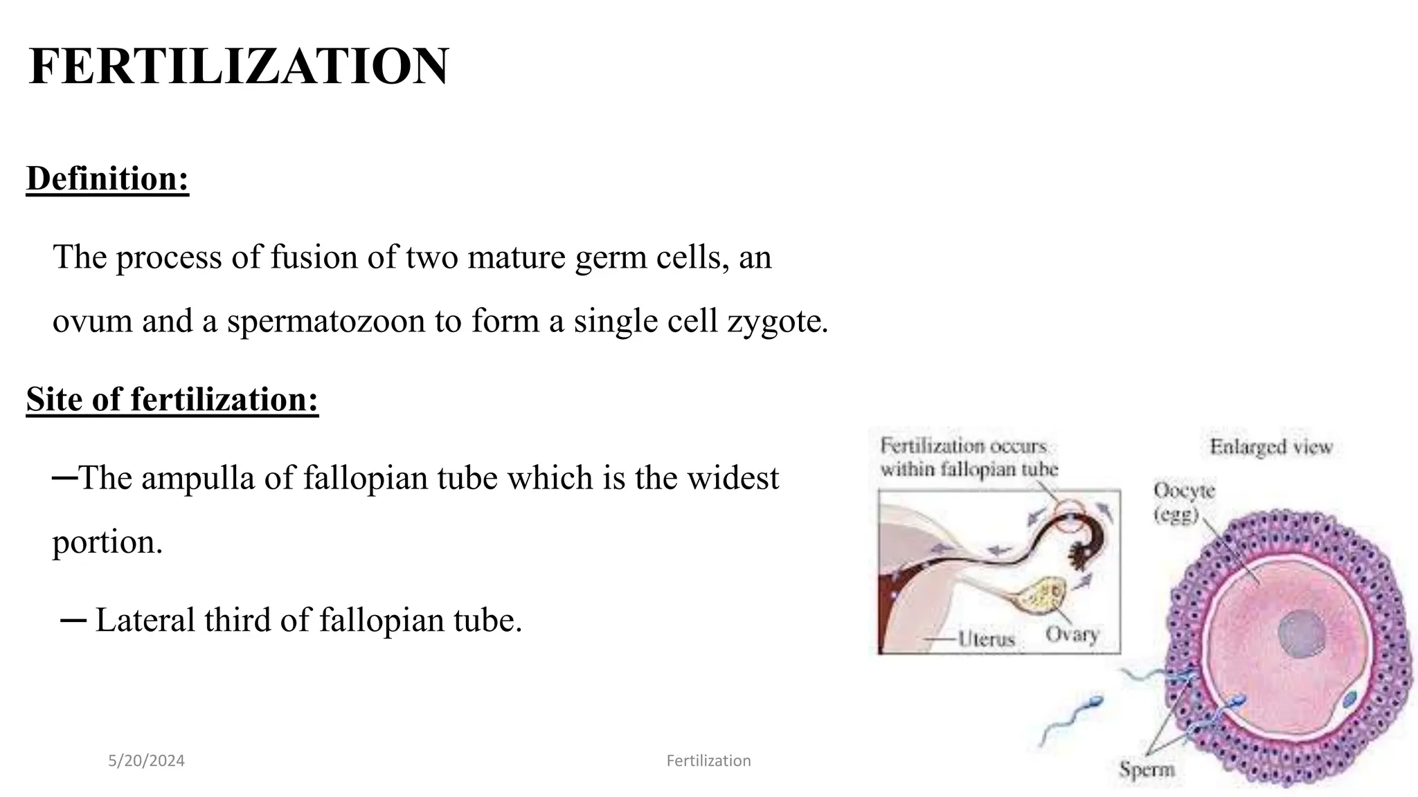 fertilization for public health students HO2016.pptx | Infertility ...