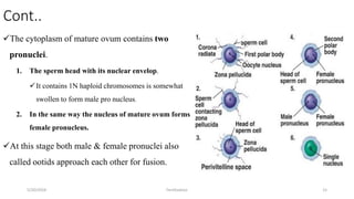 fertilization for public health students HO2016.pptx | Infertility ...