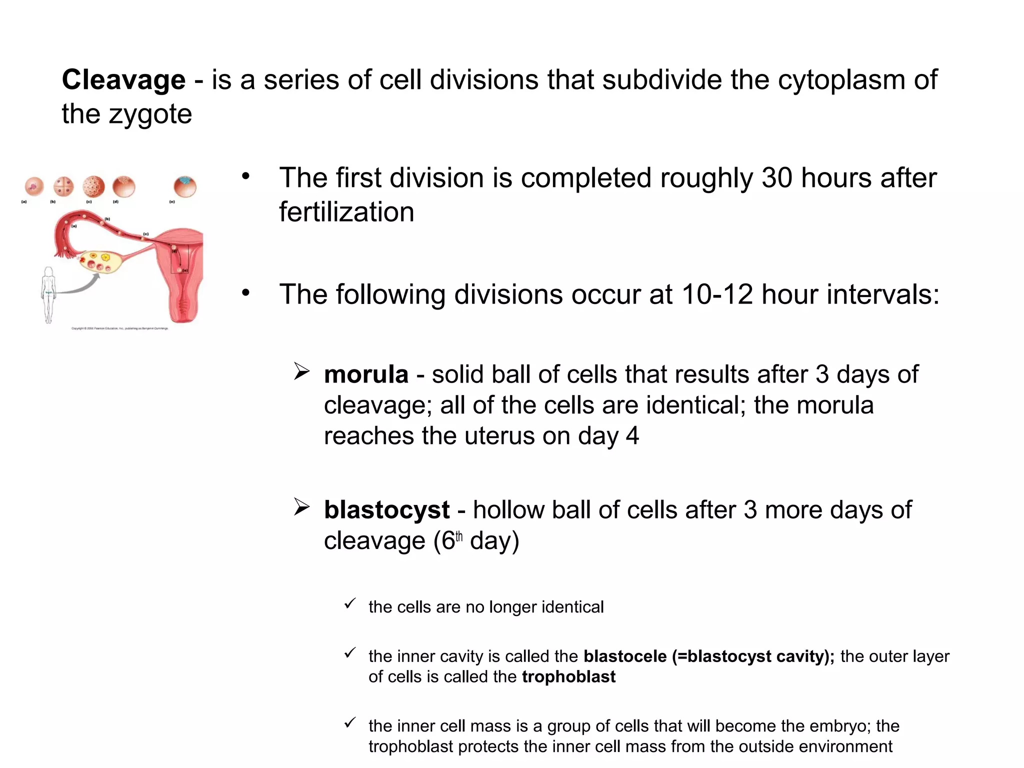 Fertilization, implantaion and embryology | PPT