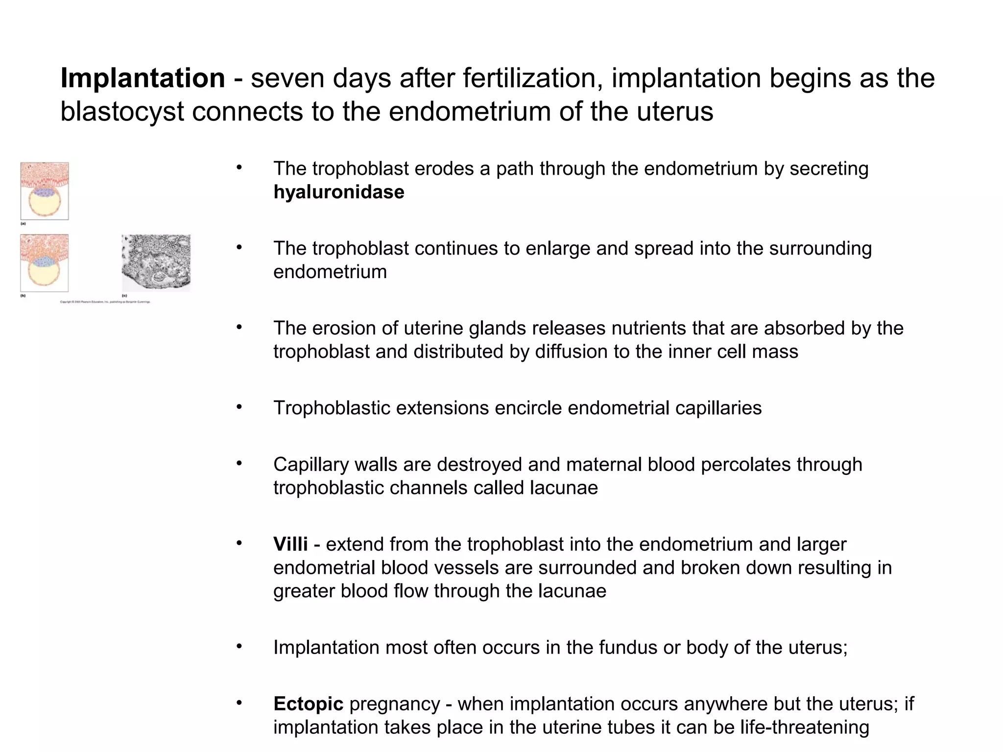 Fertilization, implantaion and embryology | PPT