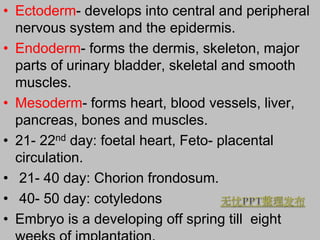 FERTILIZATION,IMPLANTATION & FETAL DEVELOPMENT | PPTX