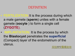 Fertilization Definition