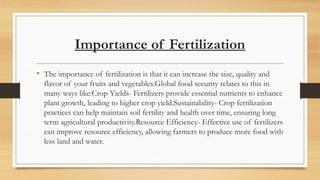 Fertilization in Plantsxvghfjghkbvnbv.pptx