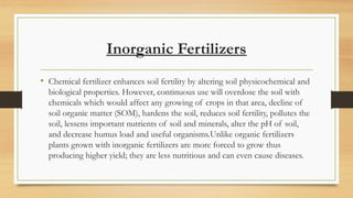 Fertilization in Plantsxvghfjghkbvnbv.pptx