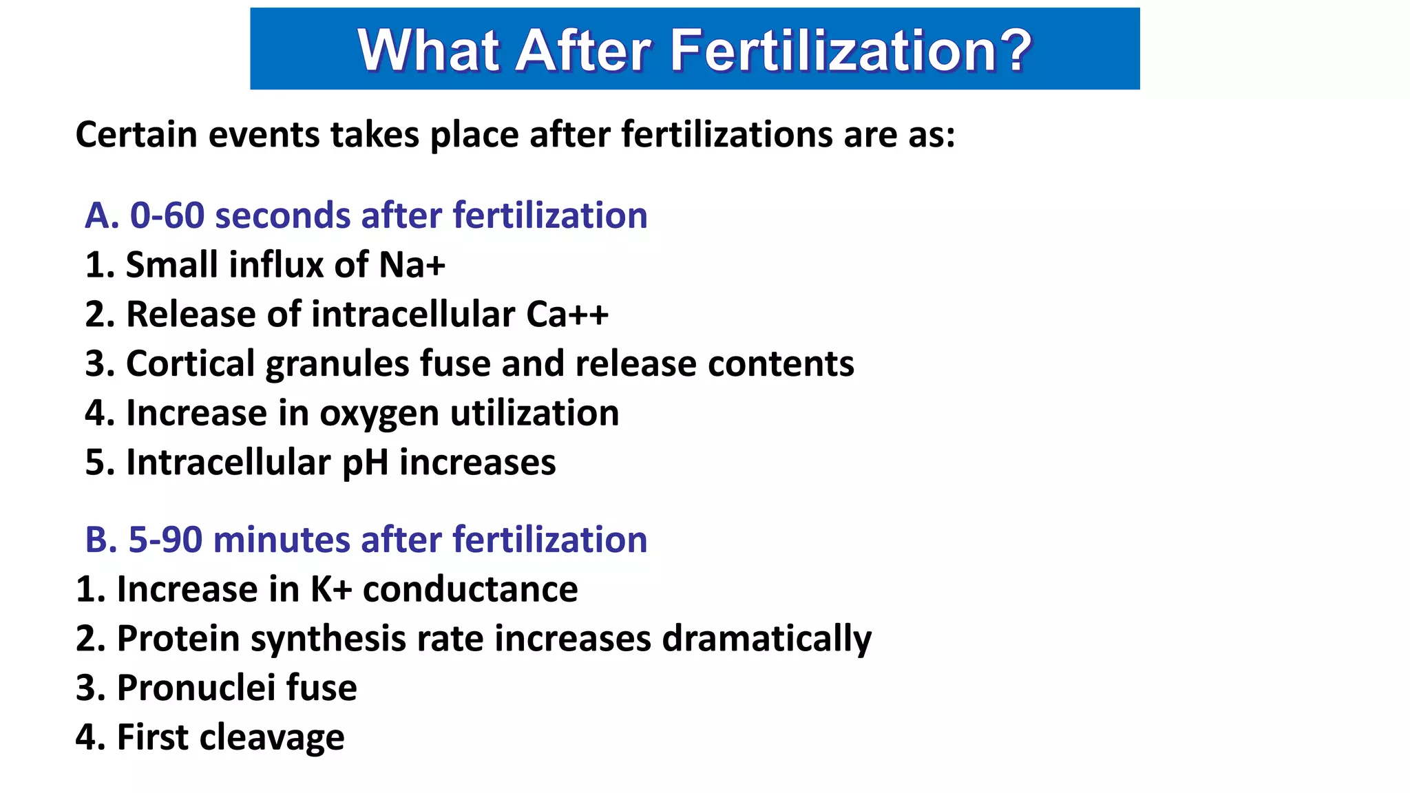 Fertilization in sea urchin | PPTX