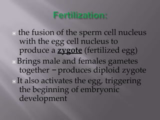 fertilizationnotes-140122140506-phpapp02.pptx | Infertility ...