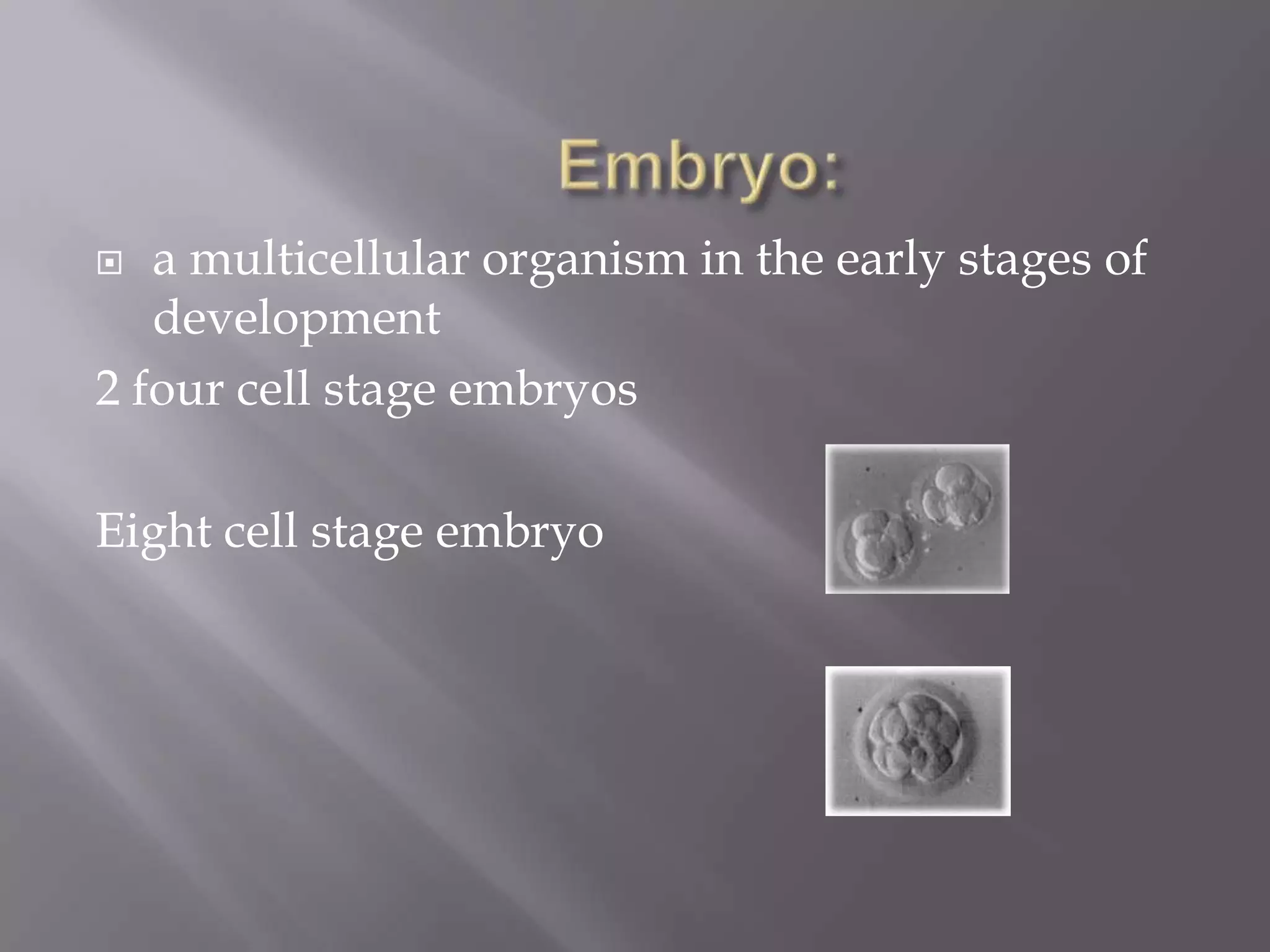 Fertilization notes | PPTX