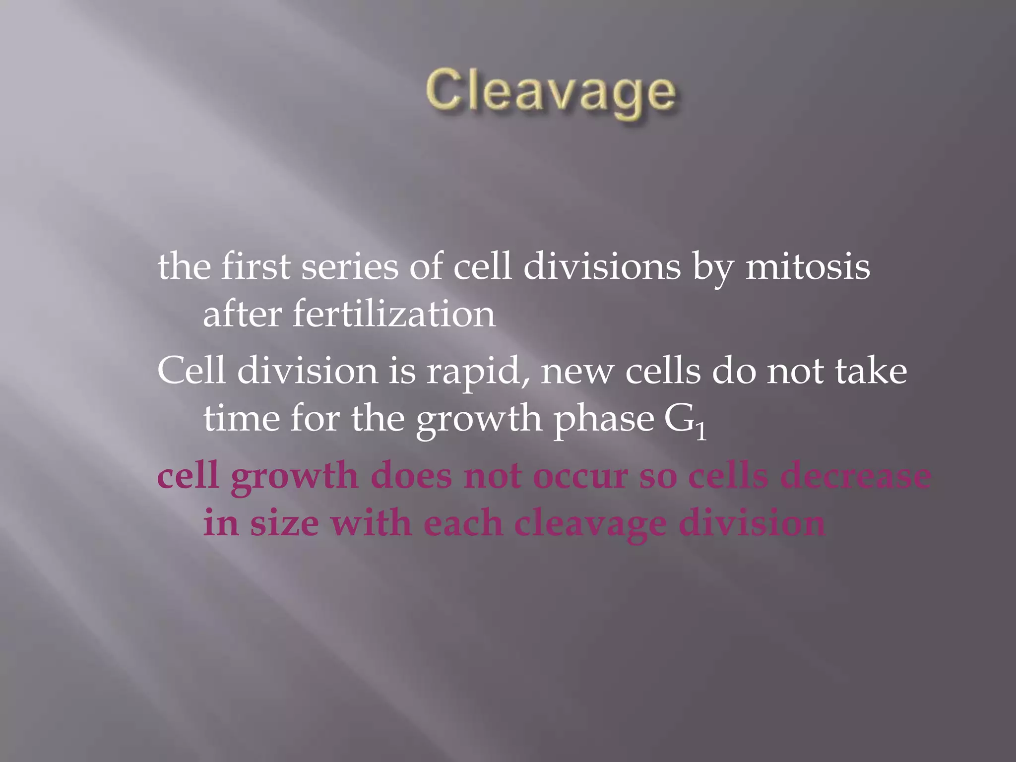 Fertilization notes | PPTX