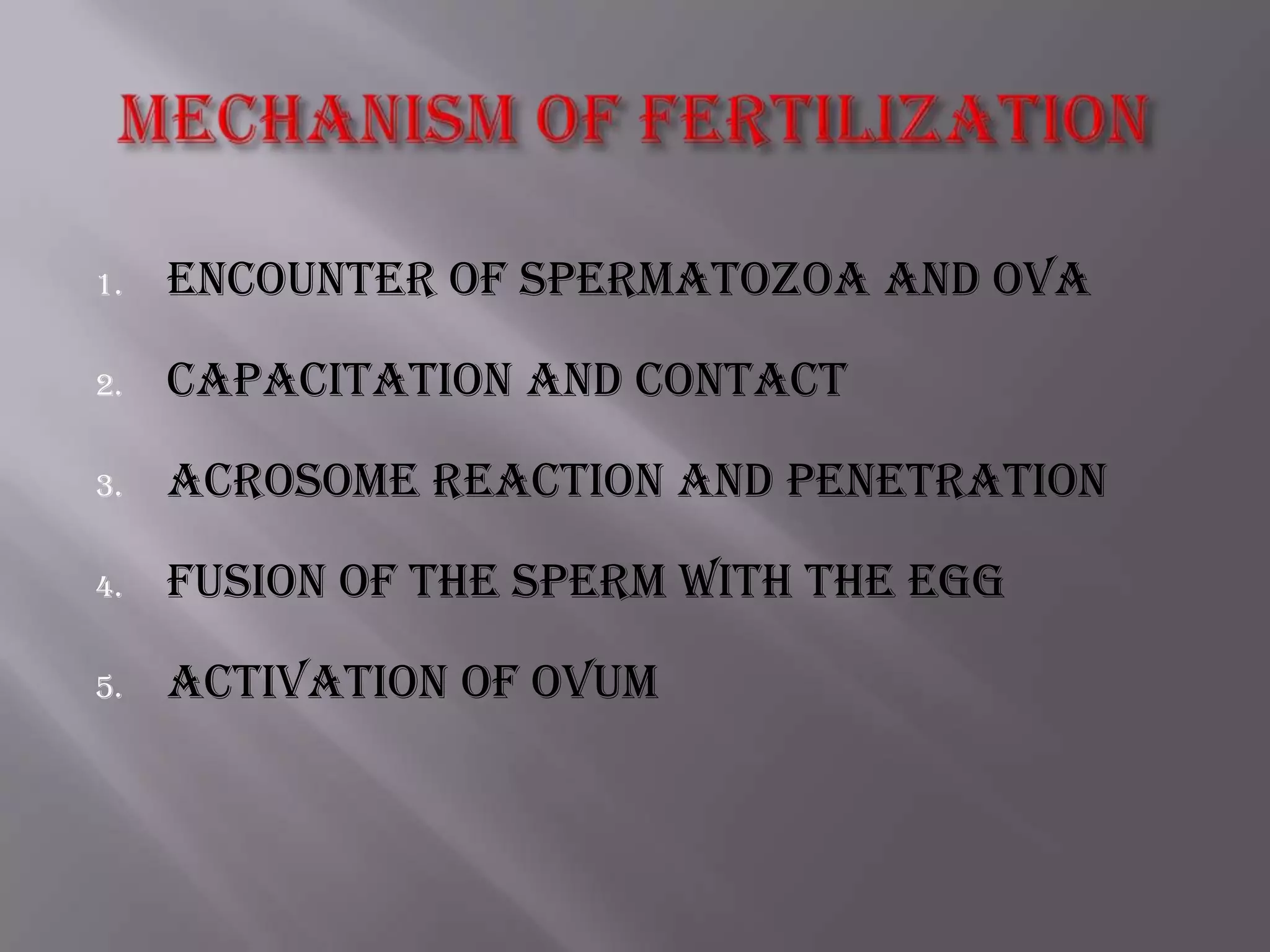 Fertilization notes | PPTX