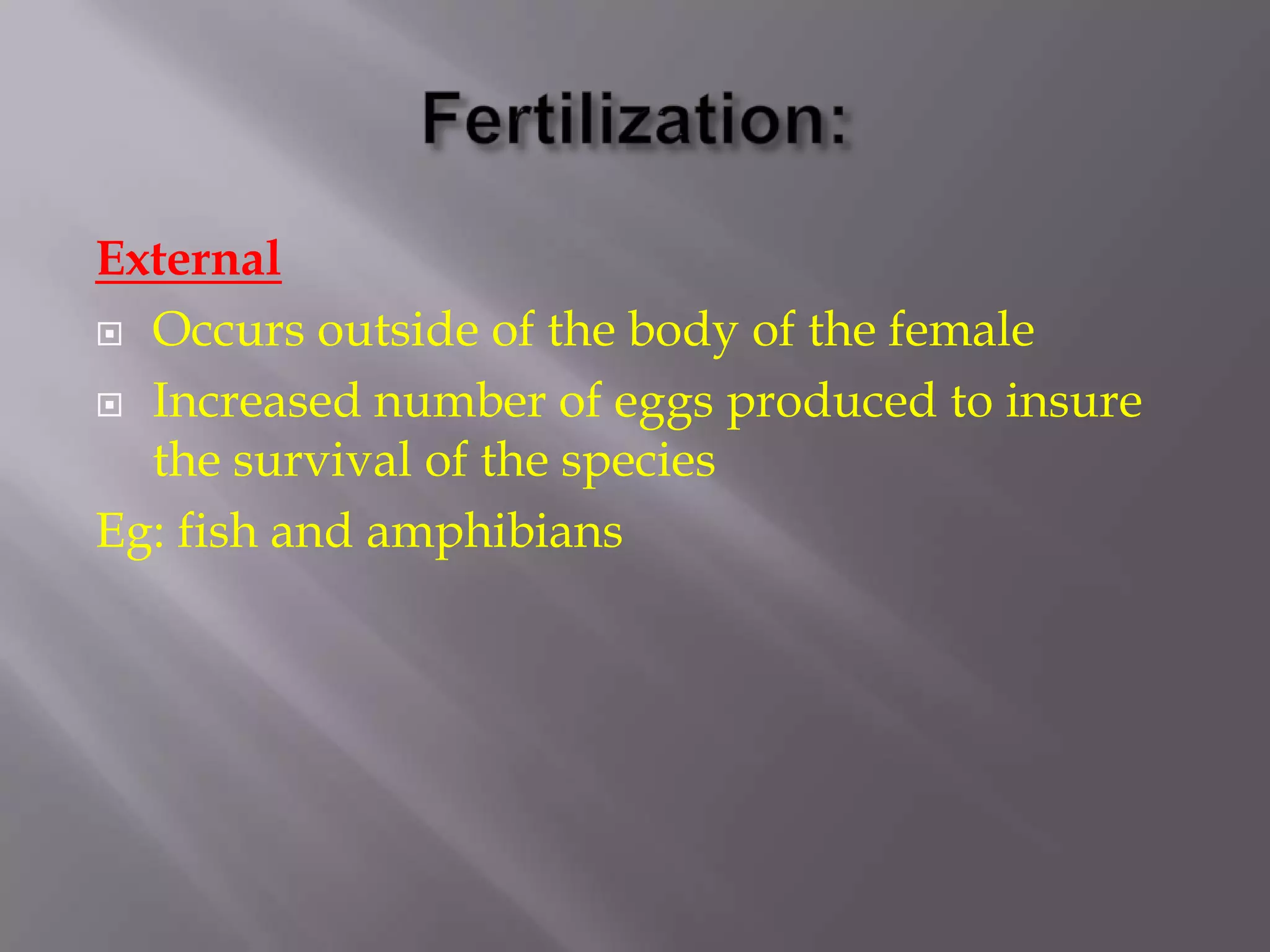 Fertilization notes | PPTX