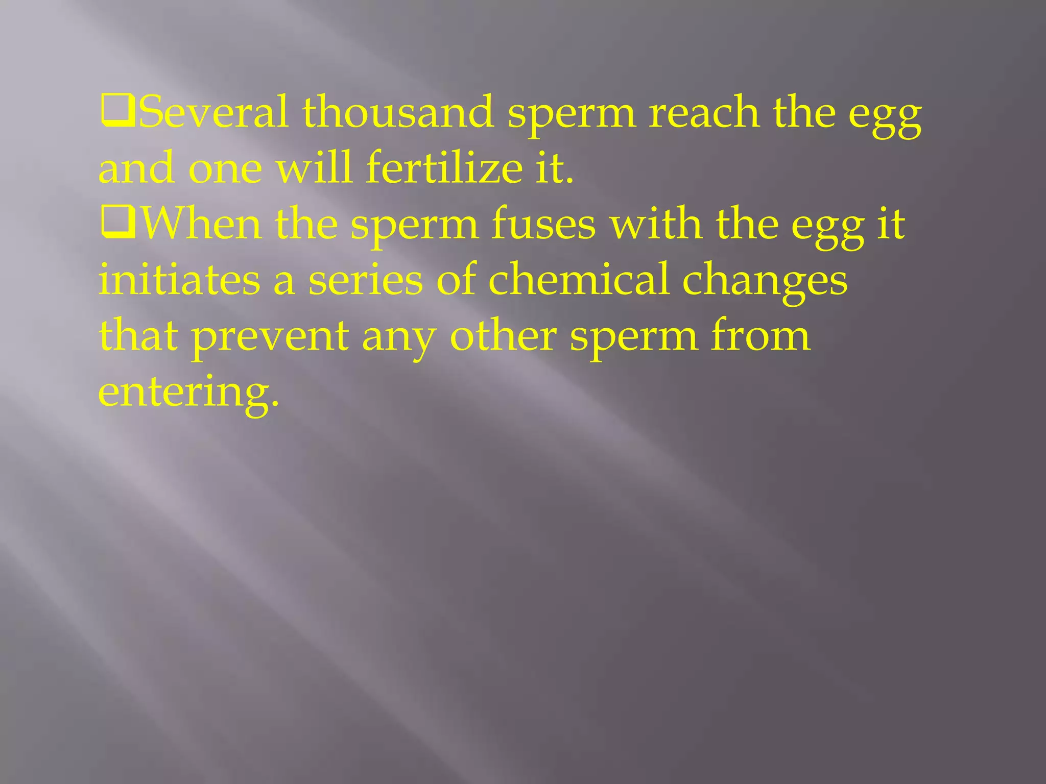 Fertilization notes | PPTX