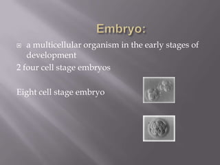 Fertilization notes | PPTX