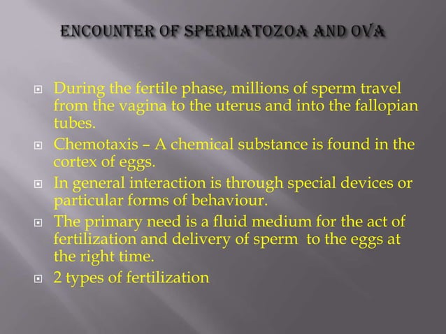 Fertilization notes | PPTX | Infertility | Reproductive Health