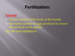 Fertilization Definition