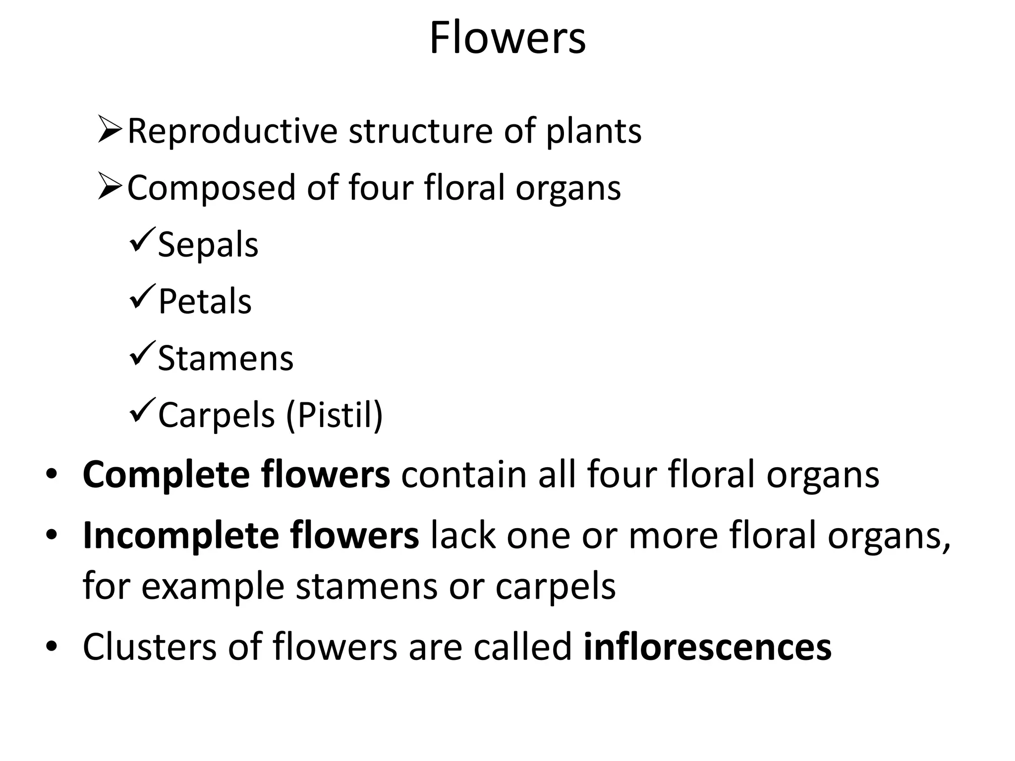Fertilization of angiospermic plant | PPTX