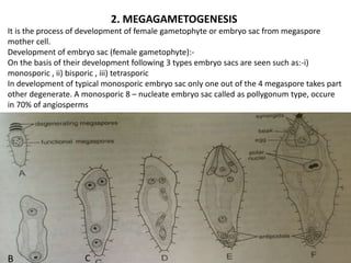 Fertilization of angiospermic plant | PPTX