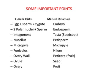 Fertilization of angiospermic plant | PPTX