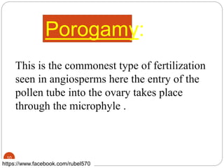 PPT on Fertilization of plants | PPTX