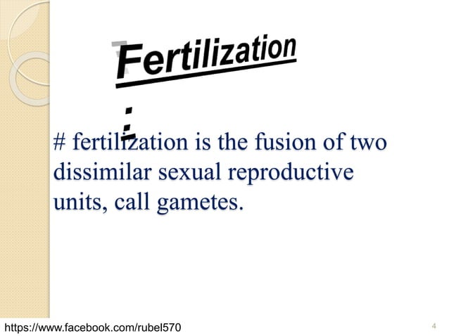 PPT on Fertilization of plants | PPTX
