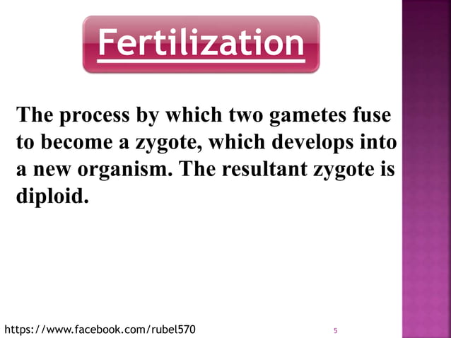 PPT on Fertilization of plants | PPTX