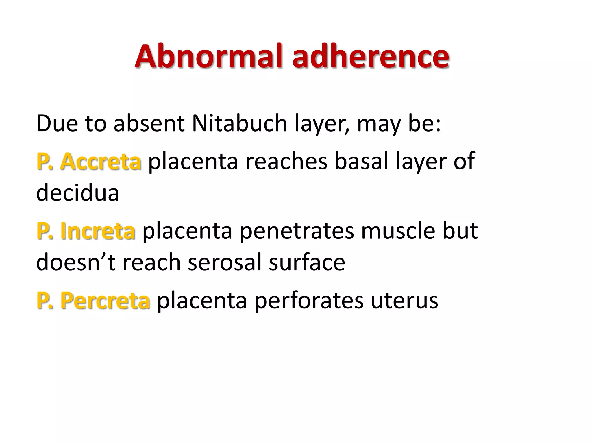 Fertilization, placenta, umbilical cord& amniotic fluid | PPTX