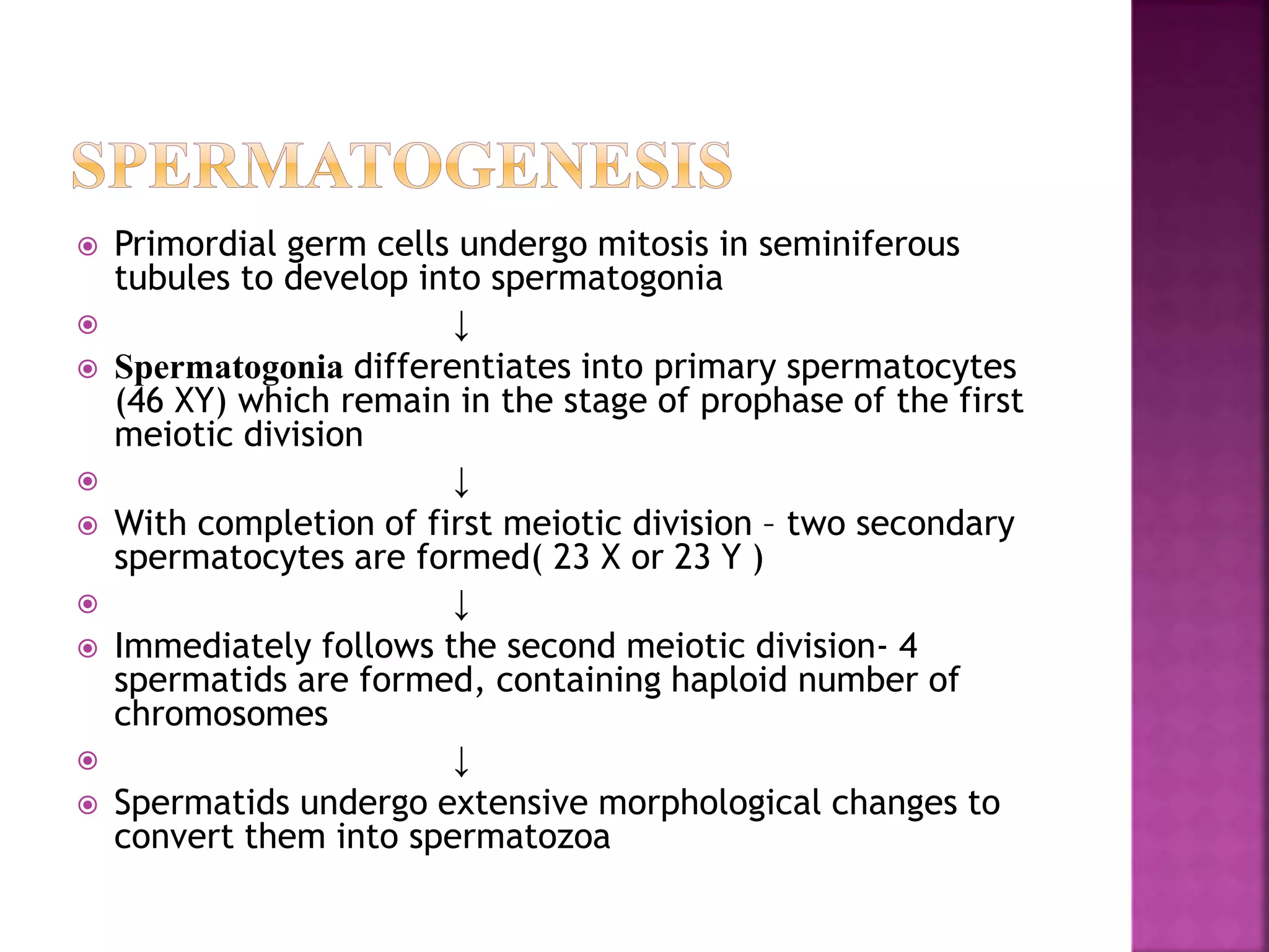 FERTILIZATION PPT.pptx
