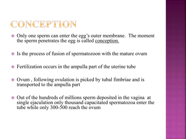 FERTILIZATION PPT.pptx