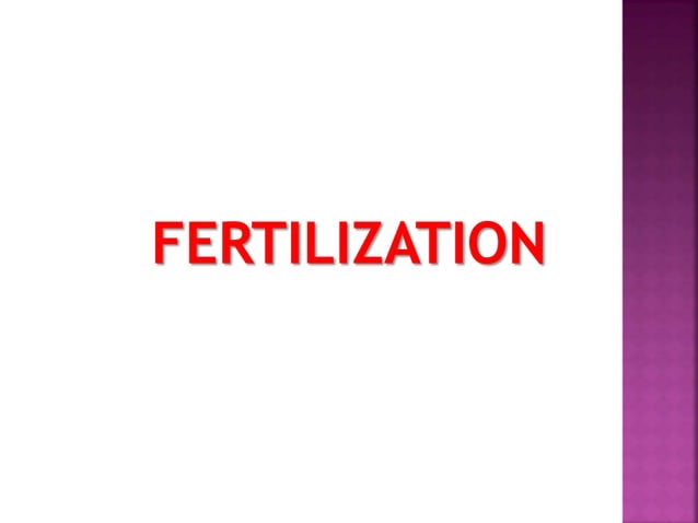 FERTILIZATION PPT.pptx