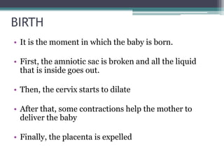 Fertilization, pregnancy and birth | PPTX