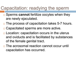 Fertilization process | PPTX
