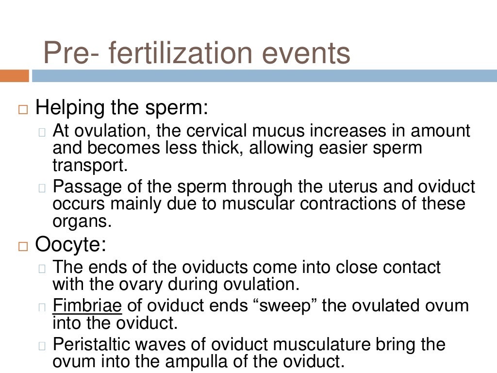 Fertilization process